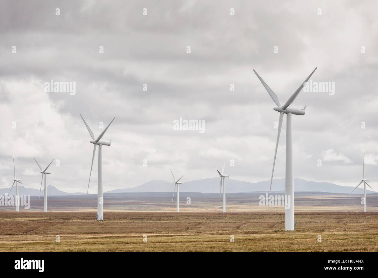 Causeguire Wind farm, south of Thurso, northern Scotland, Highlands, UK ...