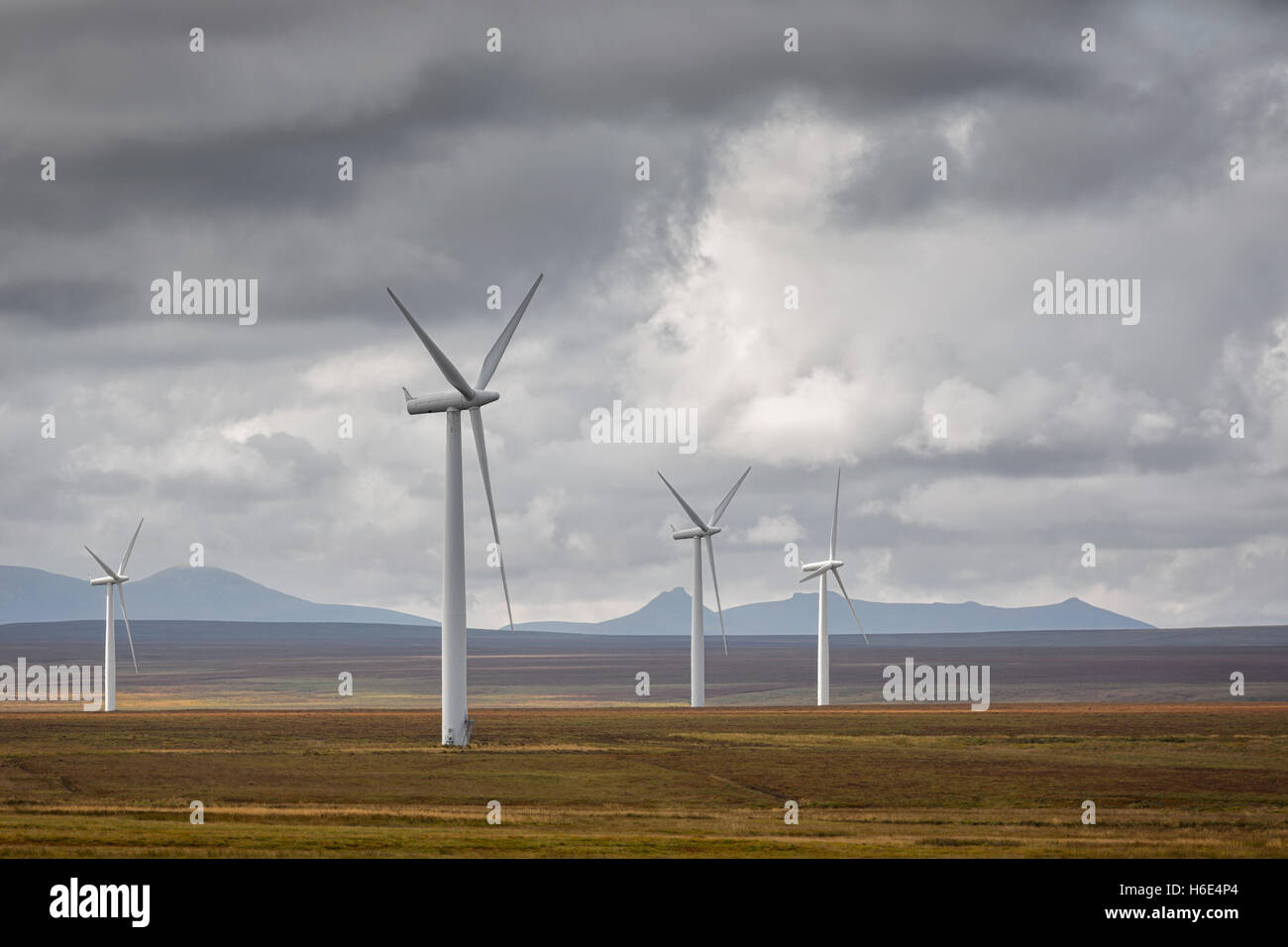 Causeguire Wind farm, south of Thurso, northern Scotland, Highlands, UK ...