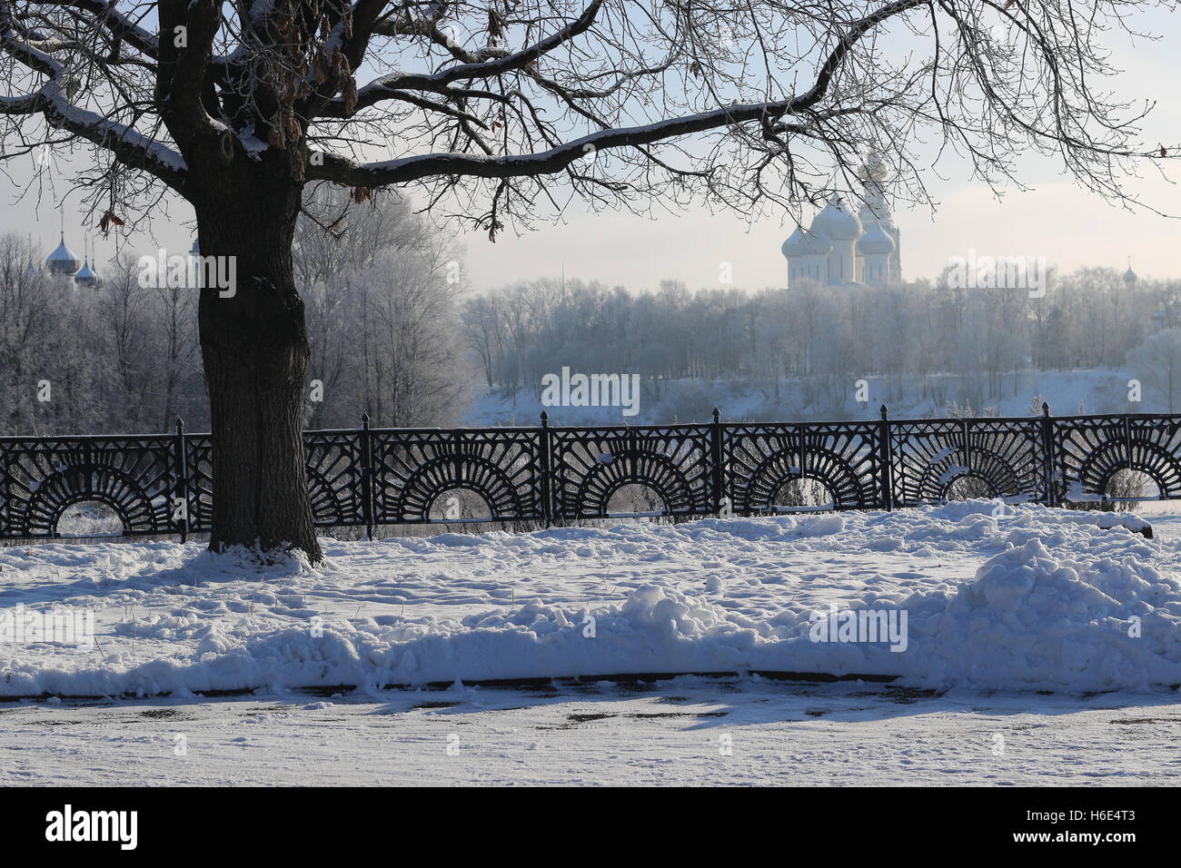 Winter tree fence dome Stock Photo - Alamy