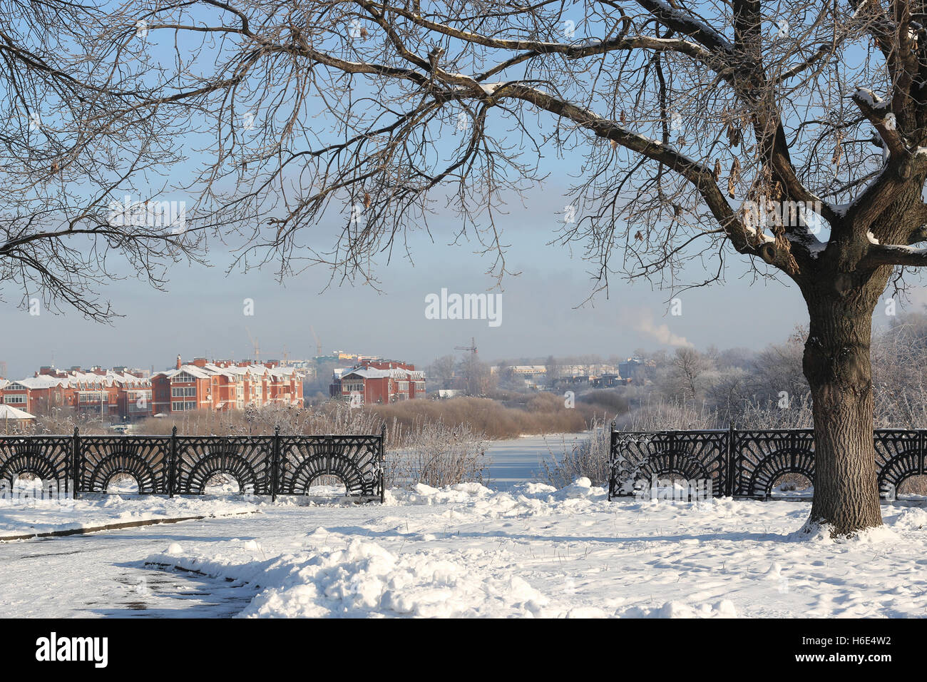 Winter tree fence dome Stock Photo - Alamy