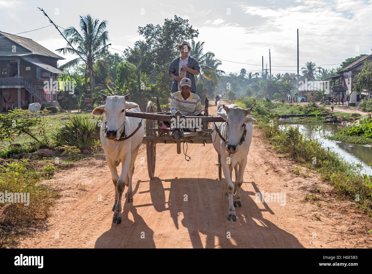 Ox cart cambodia hi-res stock photography and images - Alamy