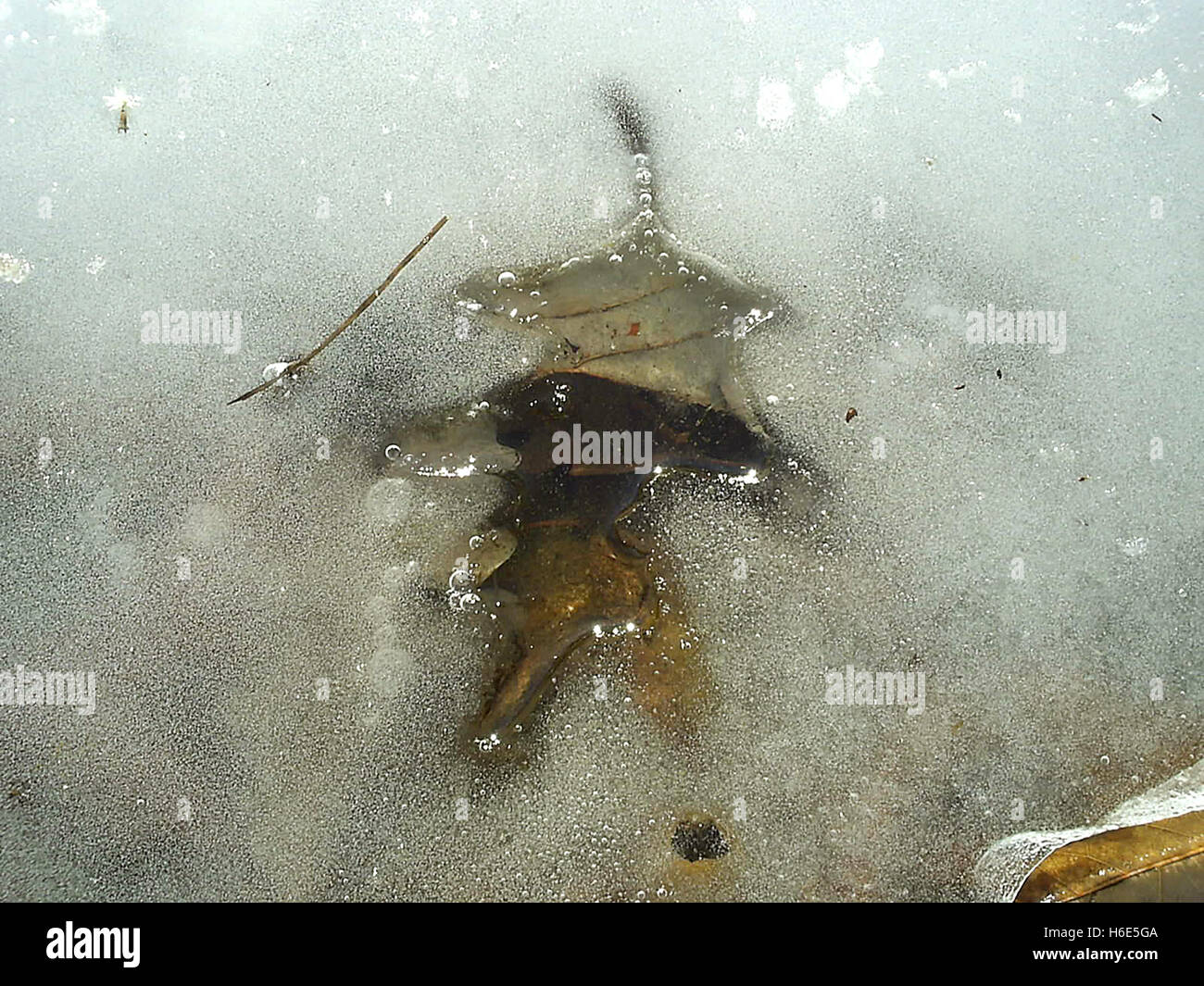 Shapes on frozen water at pond's edge Stock Photo - Alamy