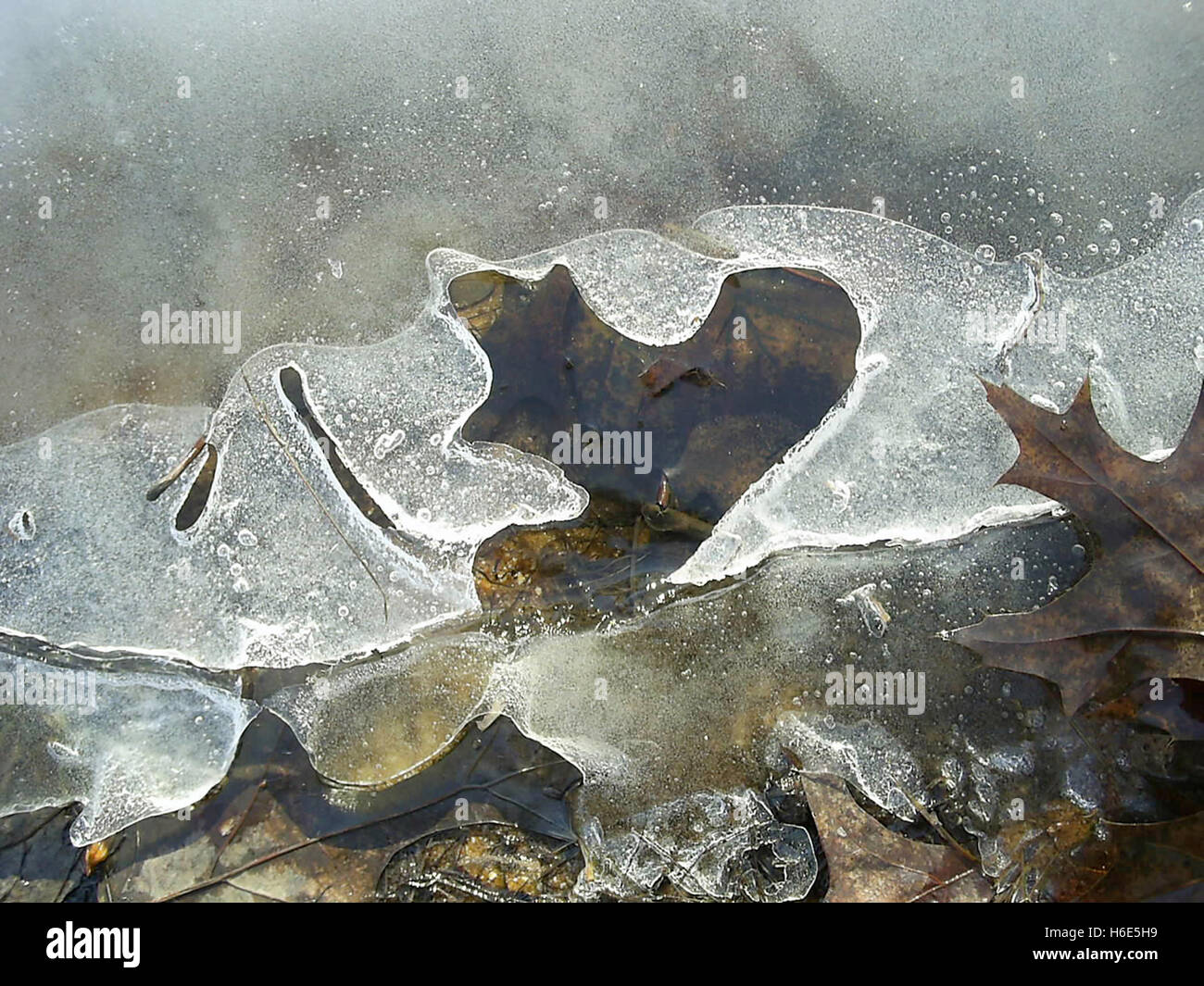 Shapes on frozen water at pond's edge Stock Photo - Alamy