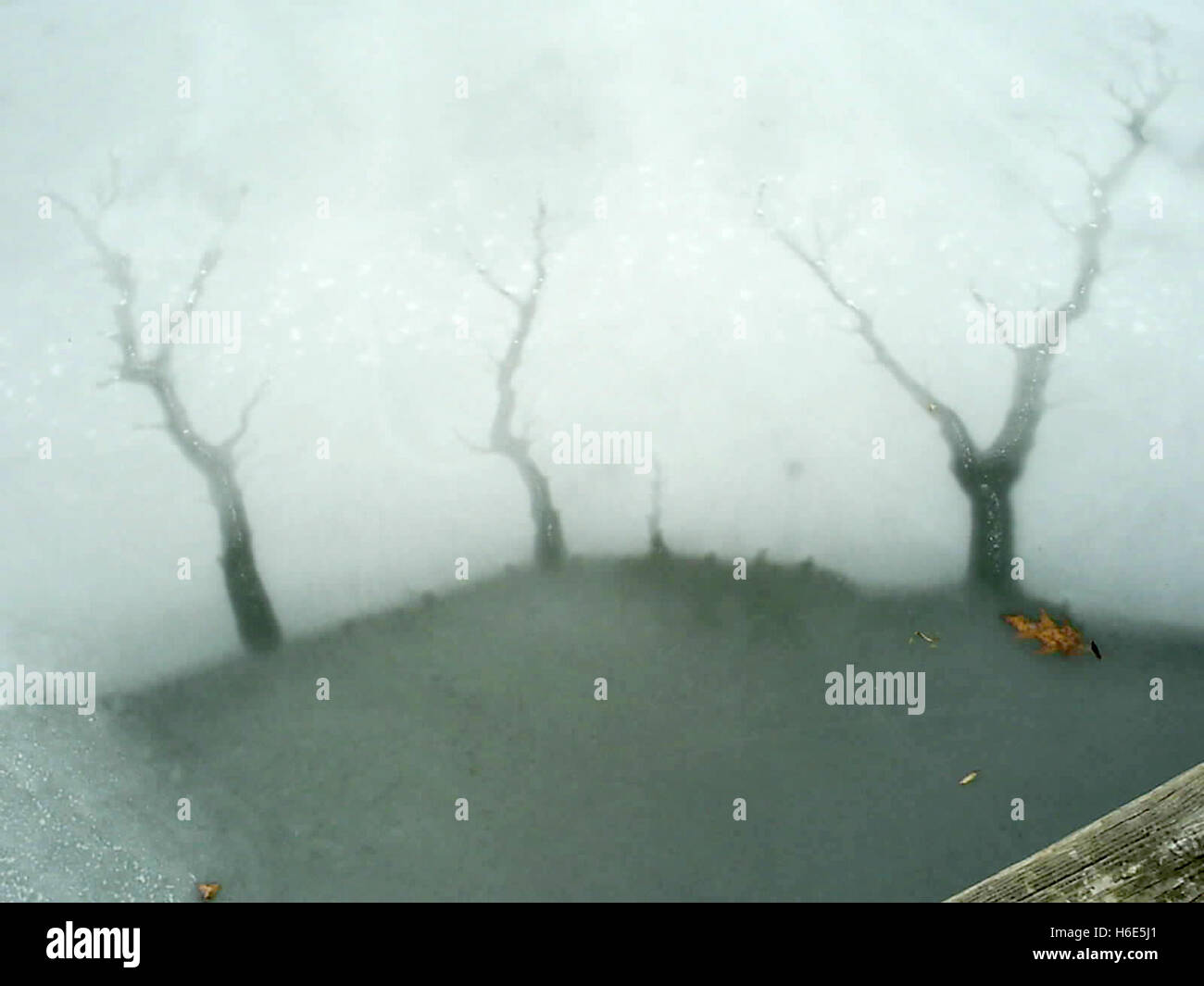 Shapes on frozen water at pond's edge Stock Photo - Alamy