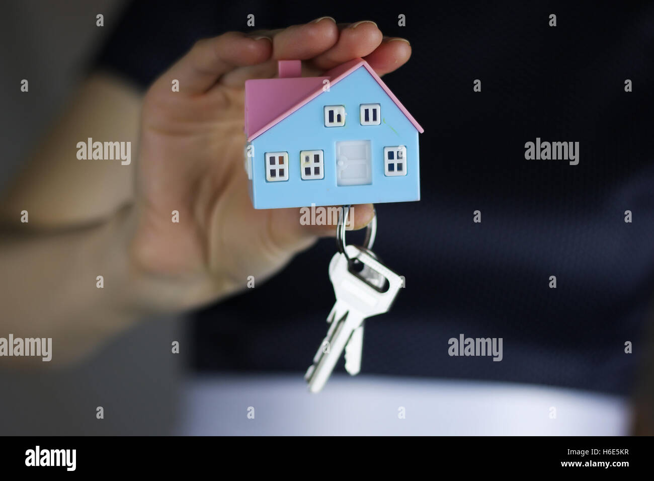 hand house agent Stock Photo - Alamy