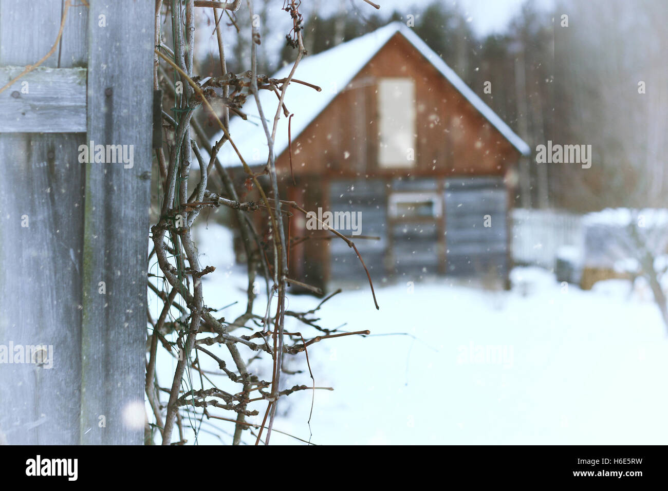 house in country rural Winter Stock Photo - Alamy
