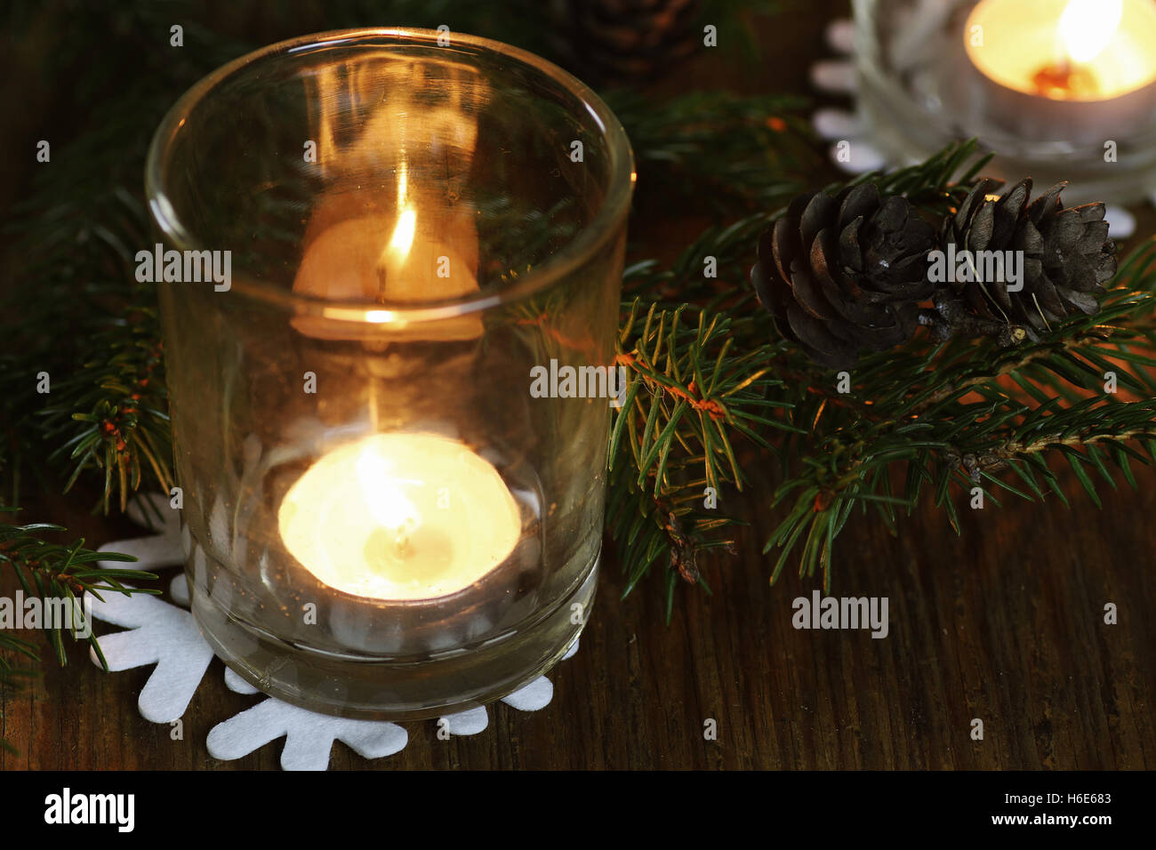 branch candlestick cone Stock Photo - Alamy