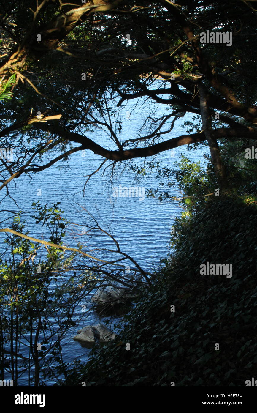 Blue Festival. Killarney. Ireland Stock Photo - Alamy