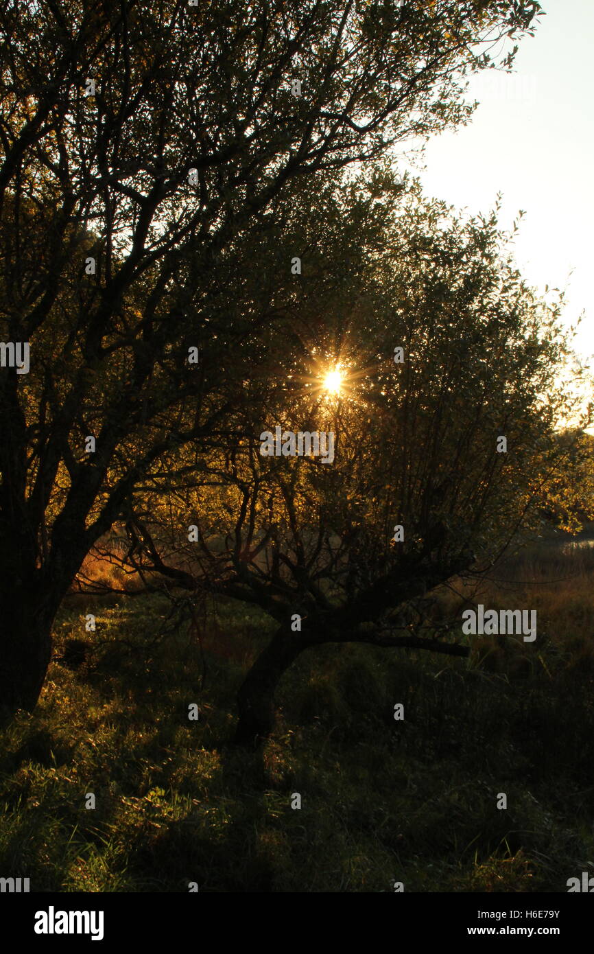 Golden circle. Killarney. Ireland Stock Photo - Alamy