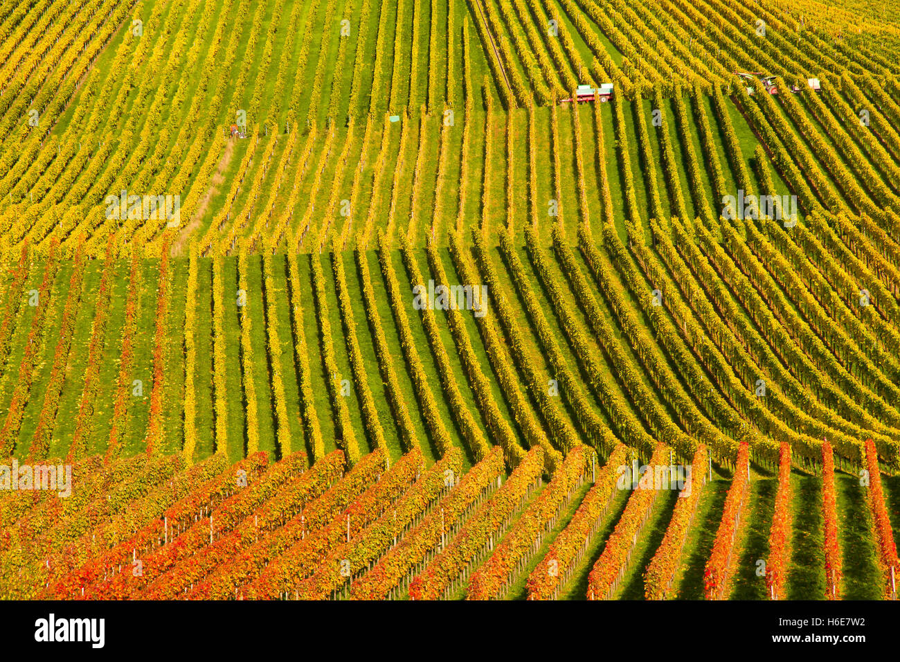 Weinstadt hi-res stock photography and images - Alamy