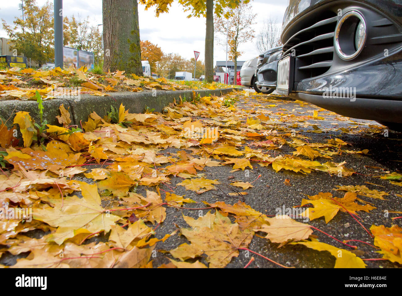 Car drive in fall autumn hi-res stock photography and images - Alamy