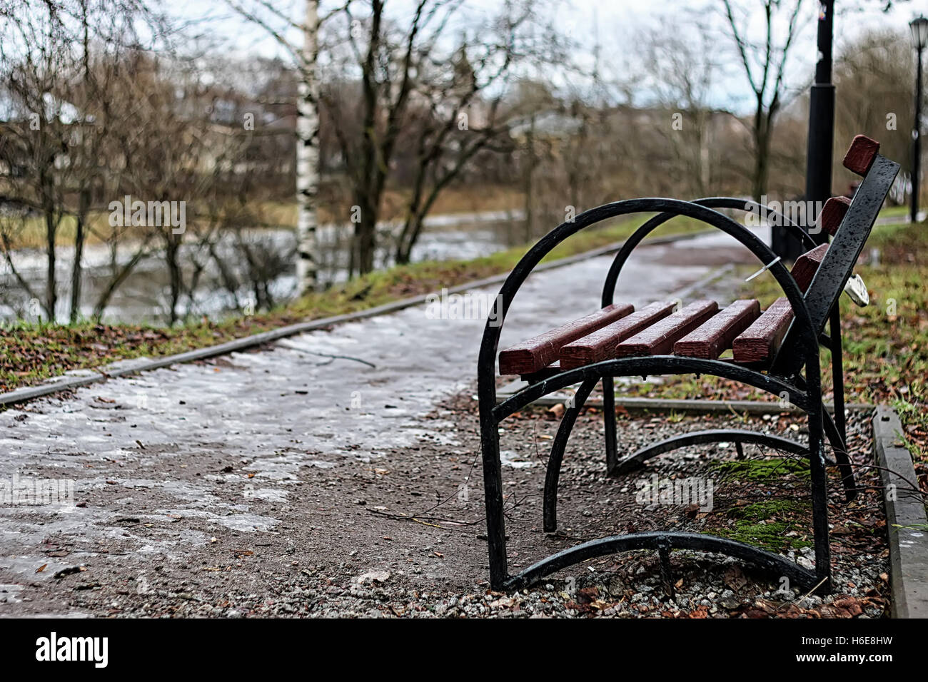 bench in the city in spring Stock Photo - Alamy