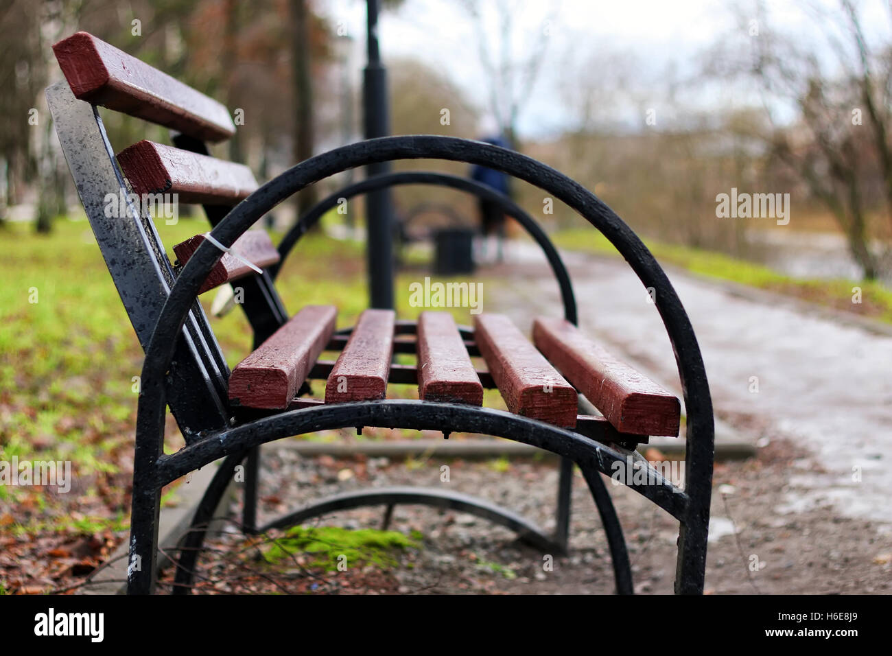bench in the city spring Stock Photo - Alamy
