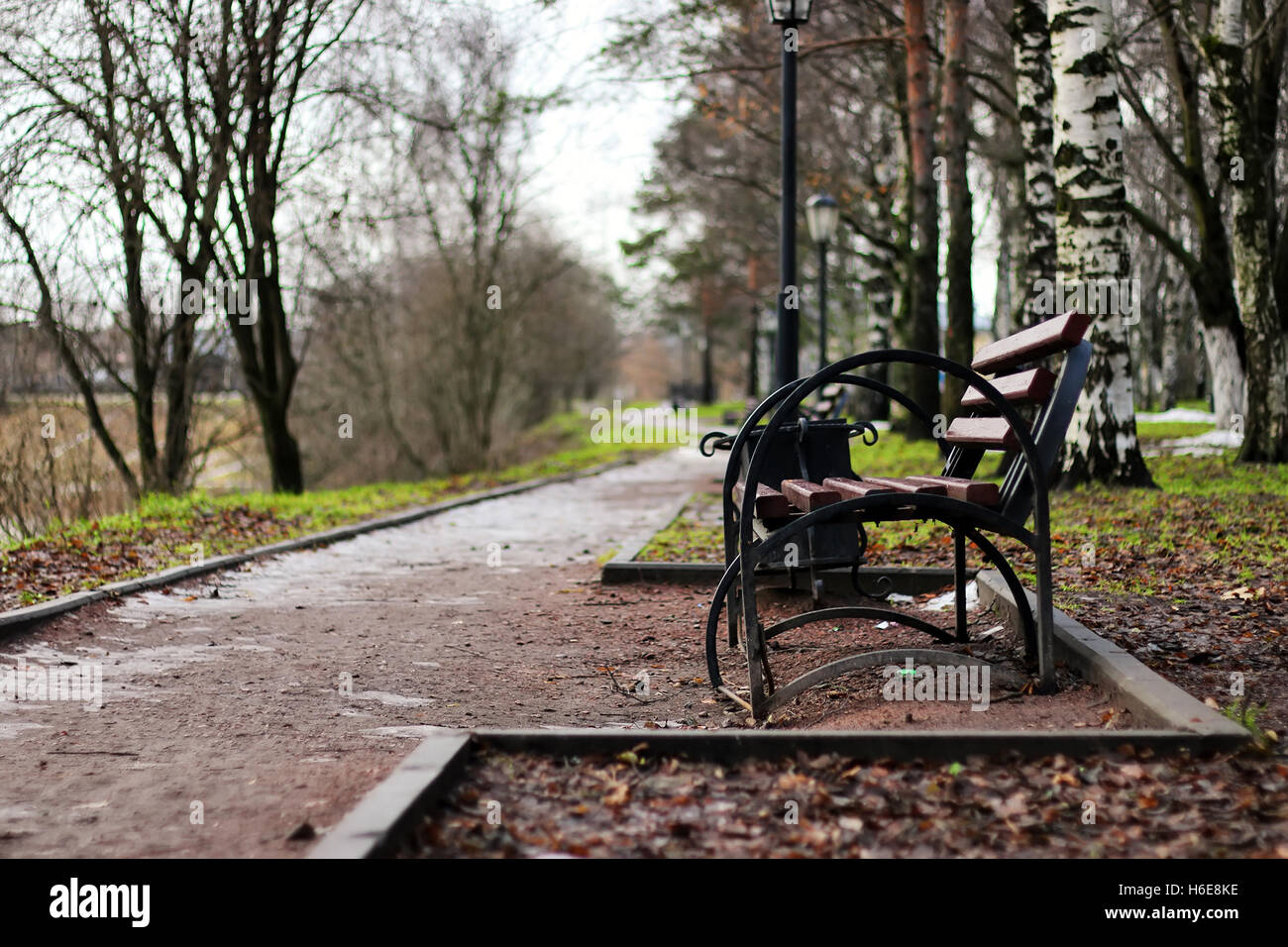 bench in the city spring Stock Photo - Alamy