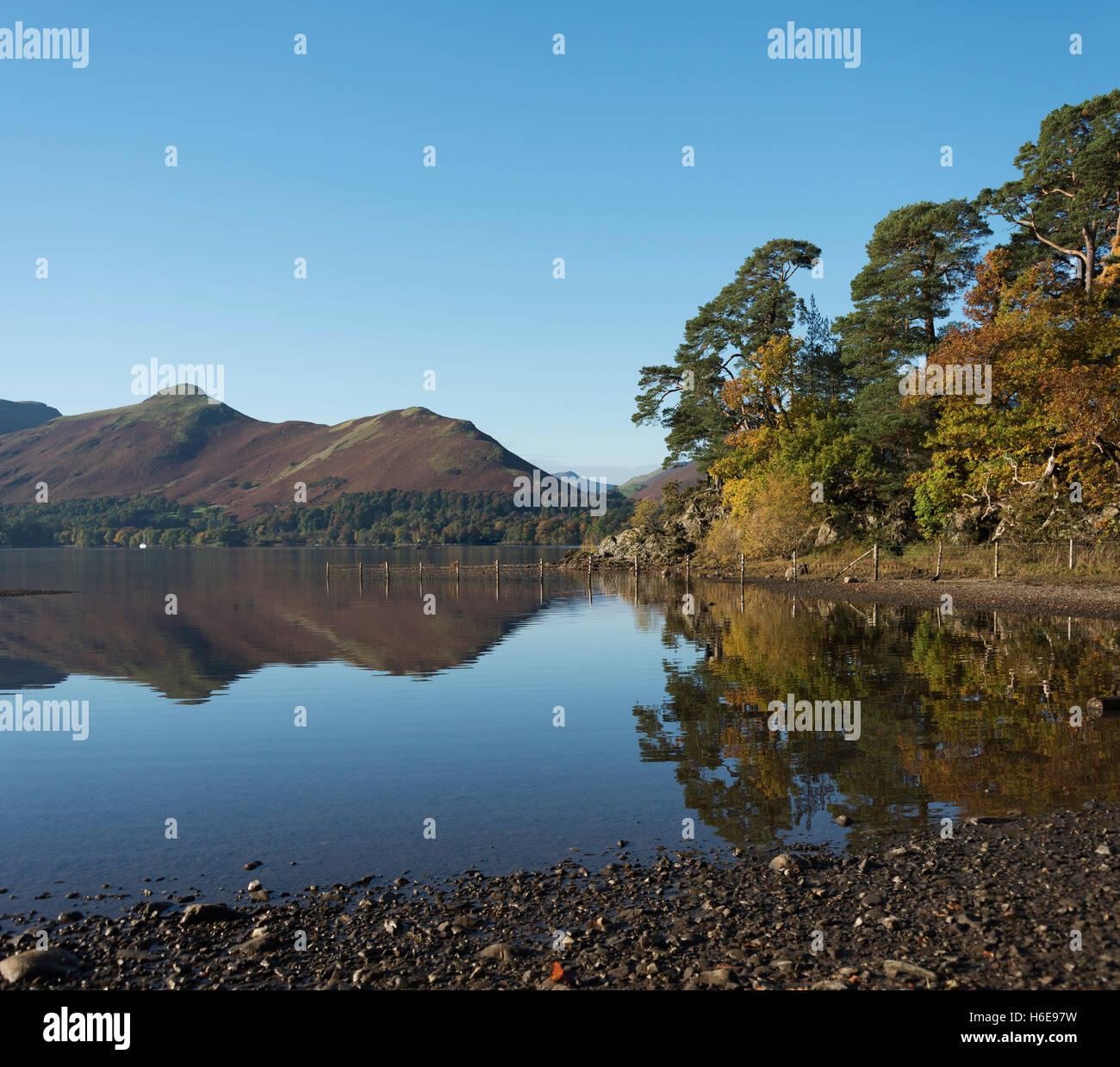Friar's crag keswick hi-res stock photography and images - Alamy