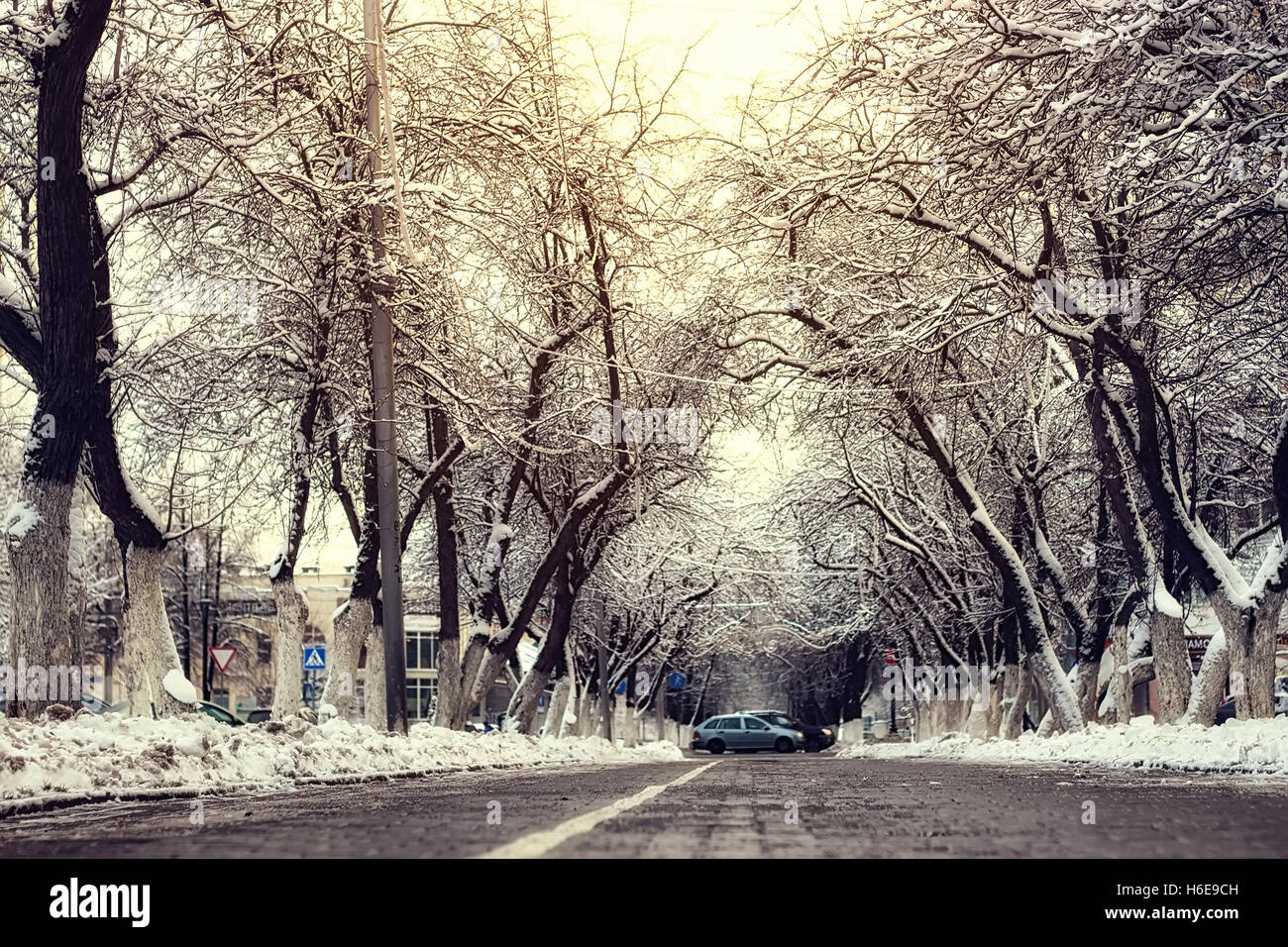pedestrian pathway tree winter Stock Photo - Alamy
