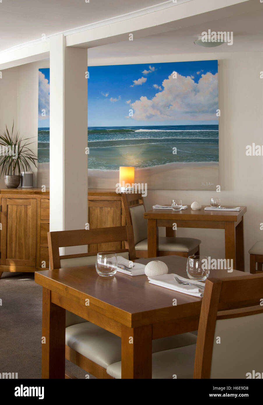 Cornwall sea bass hi-res stock photography and images - Alamy