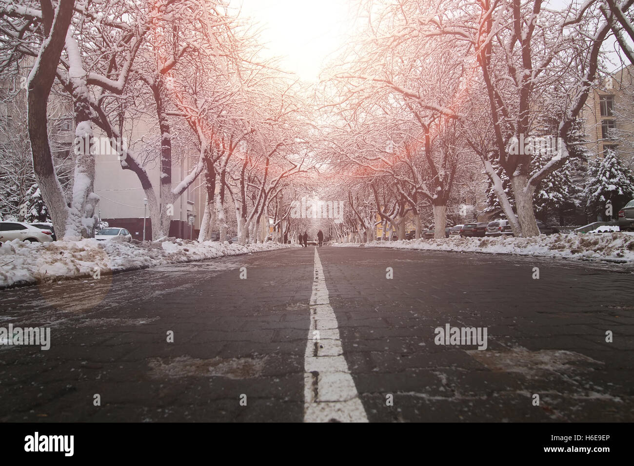 pedestrian way tree winter Stock Photo - Alamy
