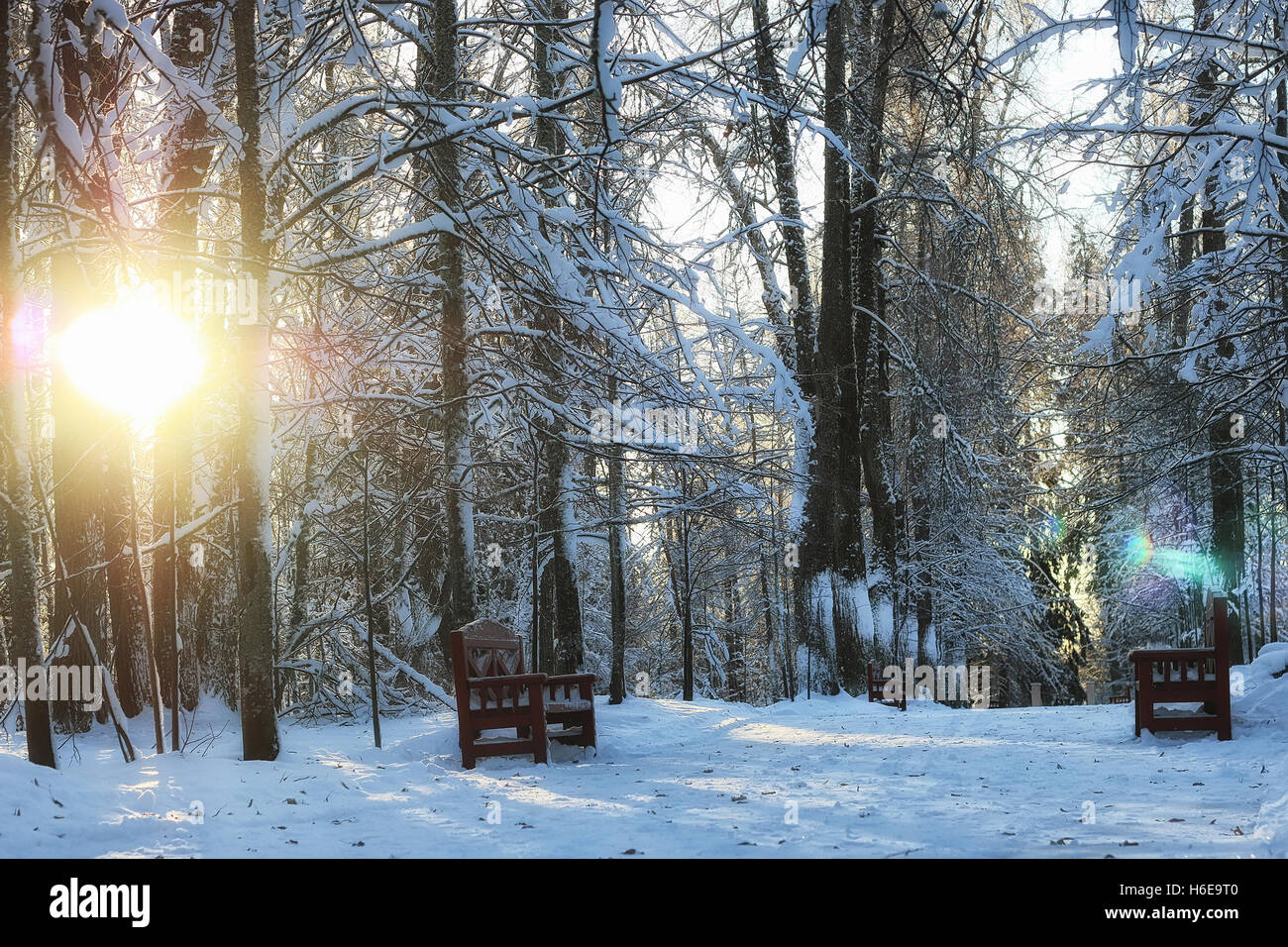 wood bench in winter Stock Photo - Alamy