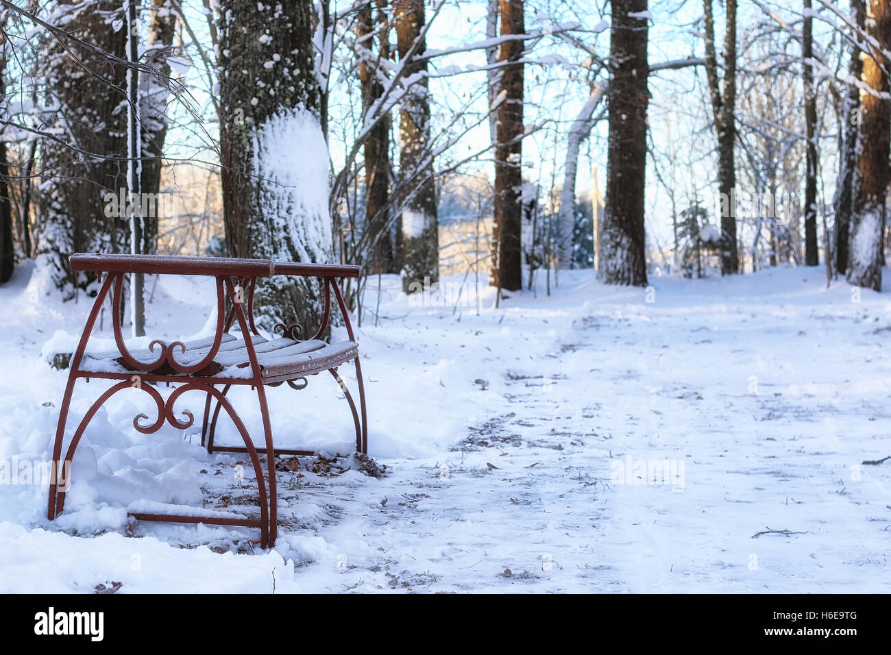 wood bench in winter Stock Photo - Alamy