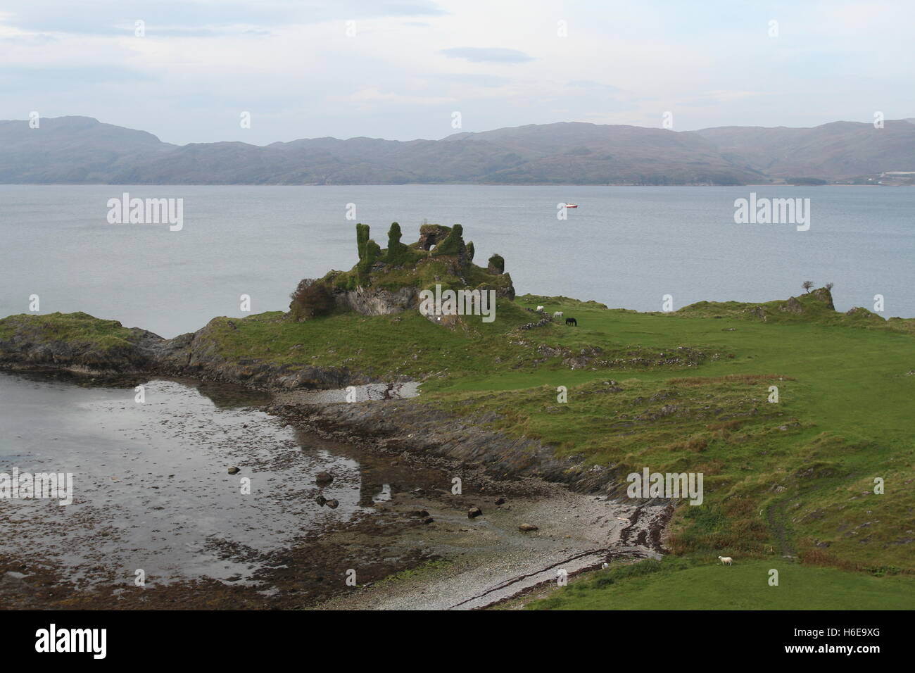 Ruin coeffin castle lismore scotland hi-res stock photography and ...