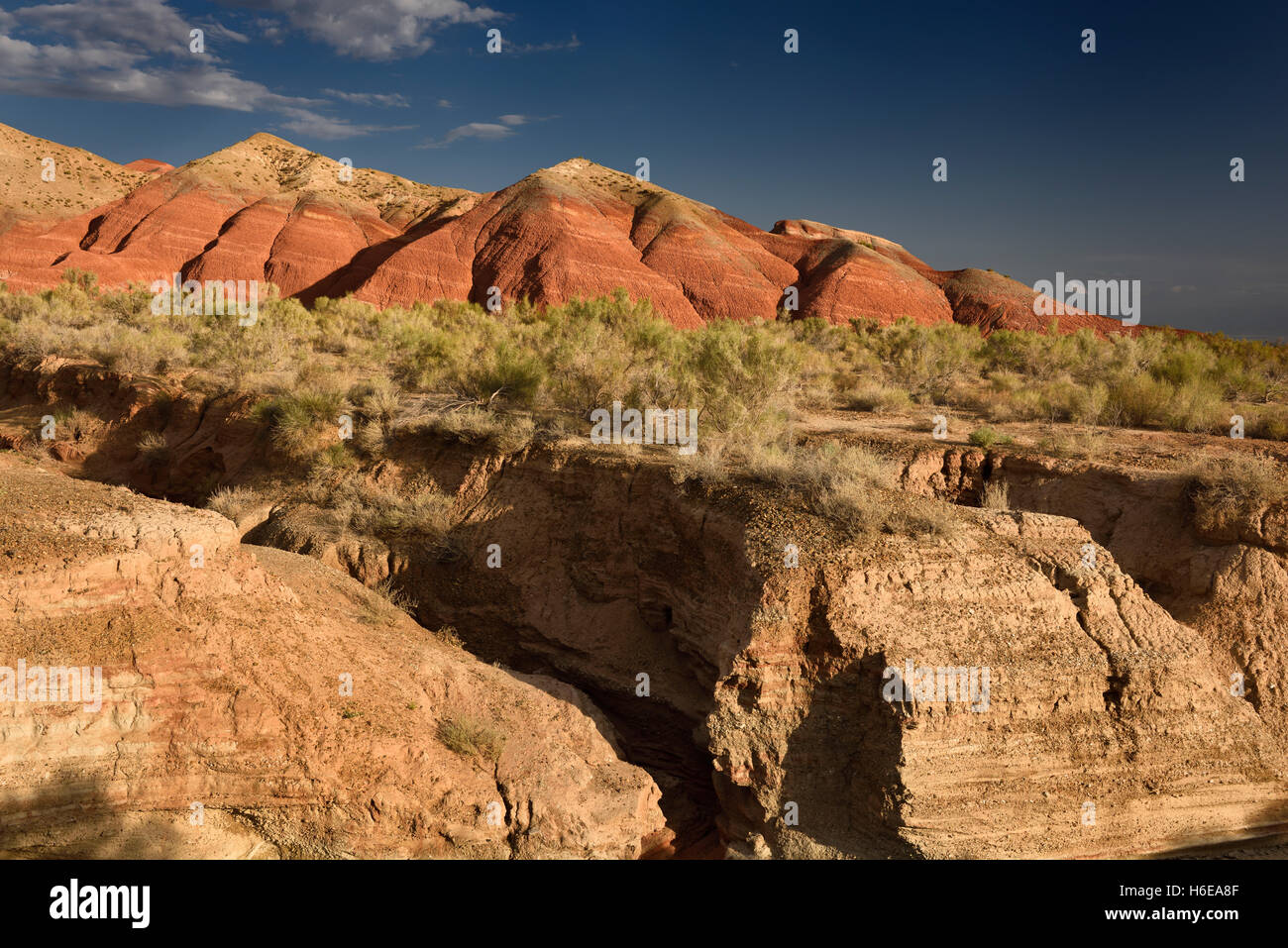 Stream bed erosion hi-res stock photography and images - Alamy