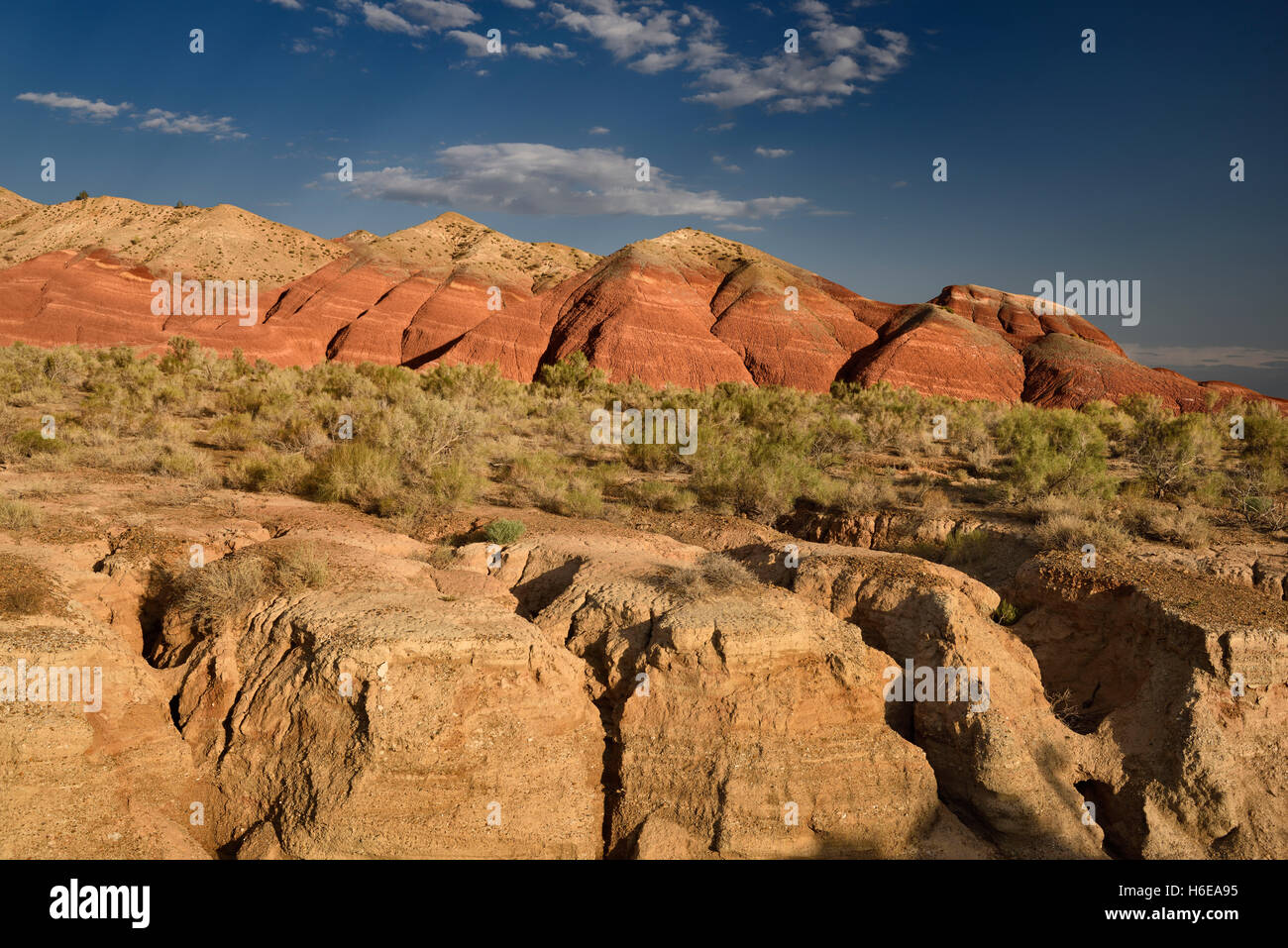 Dry stream bed with eroded clay at red Aktau Mountains Altyn Emel ...