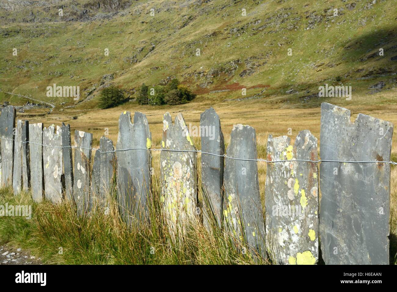 Welsh slate hi-res stock photography and images - Alamy