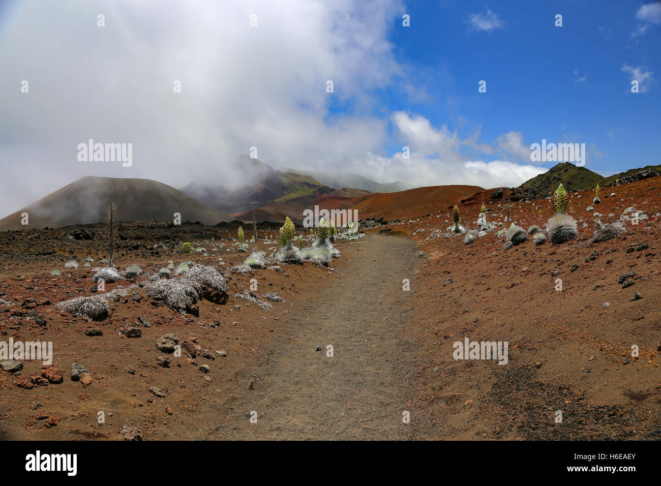 Morning images of the fog burning off in the colorful Haleakala crater ...