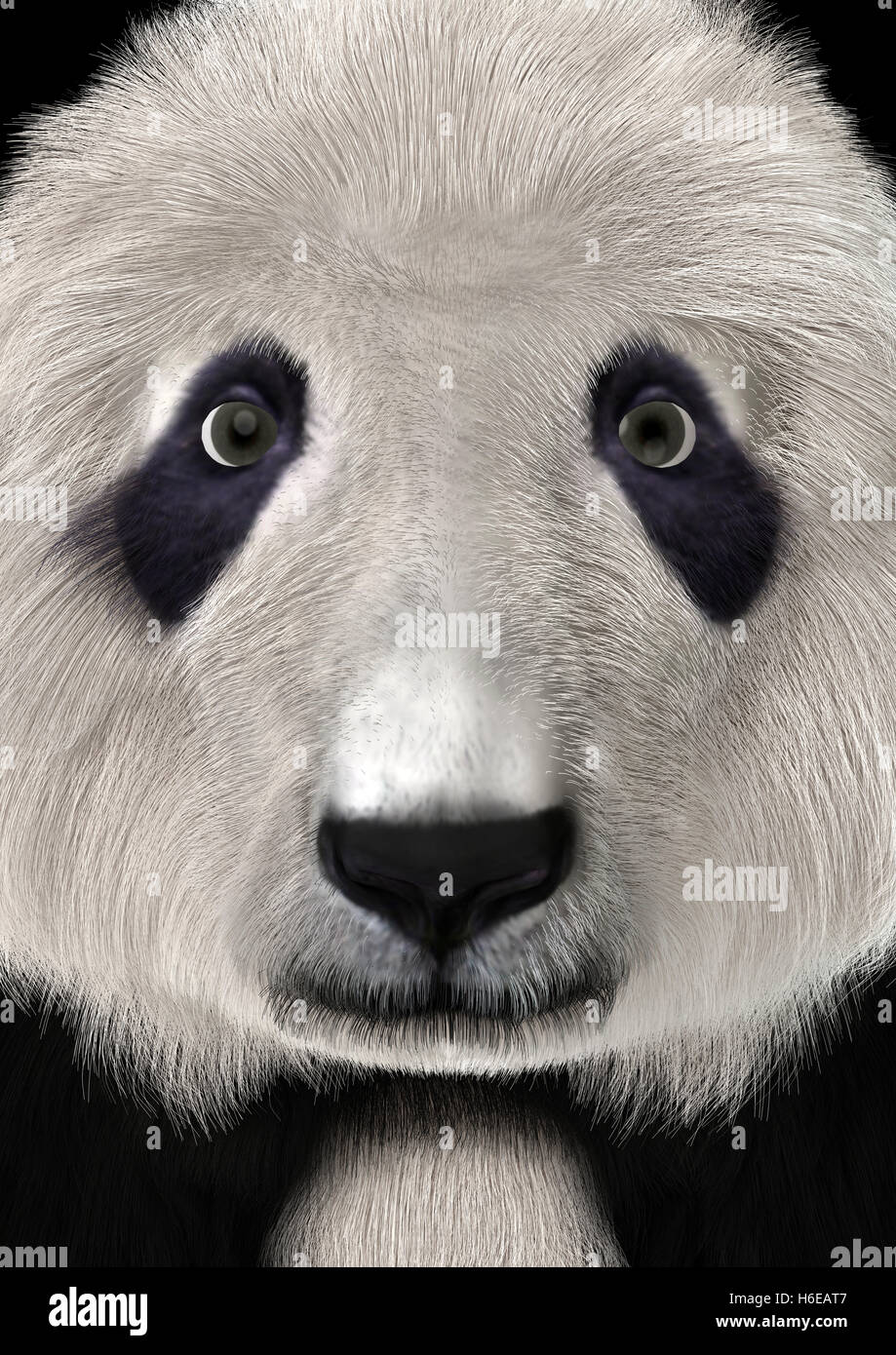 3D rendering of a head of a panda bear, closeup Stock Photo - Alamy