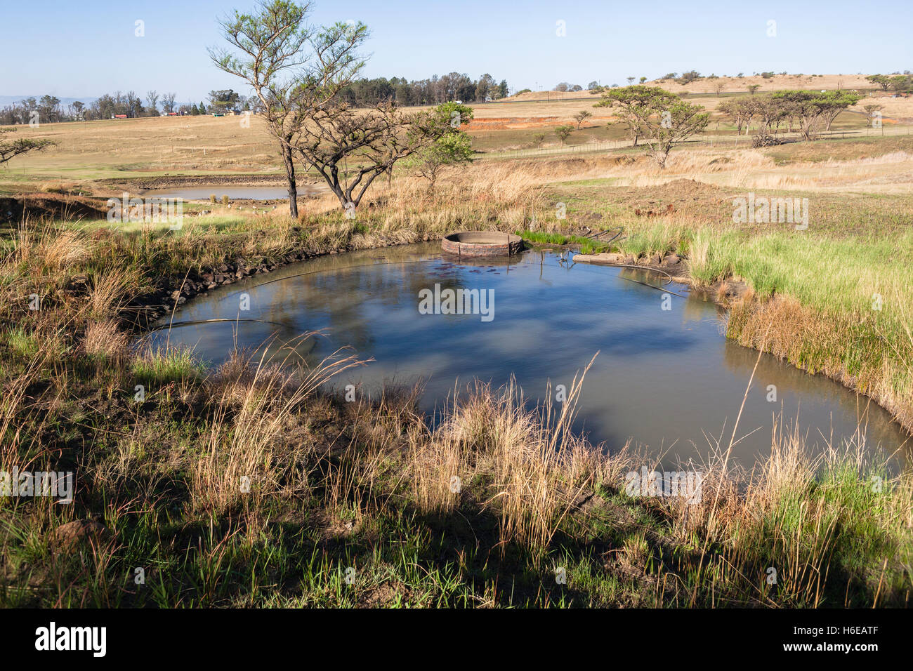 Rain water catchment High Resolution Stock Photography and Images - Alamy