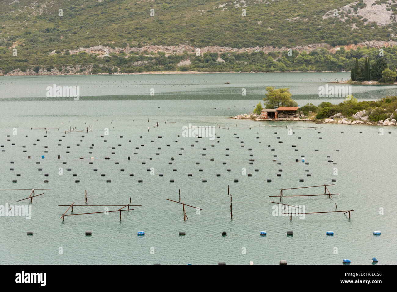 Mussel farm hi-res stock photography and images - Alamy