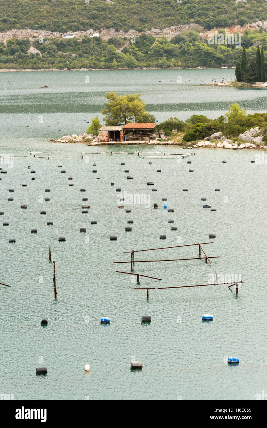 Mussel farm hi-res stock photography and images - Alamy