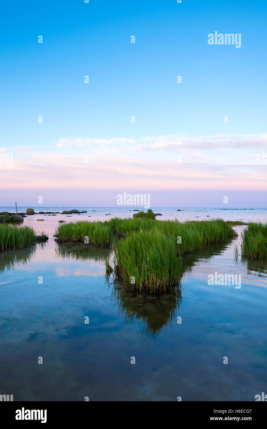 Sweden Coastal Marsh Stock Photo - Alamy