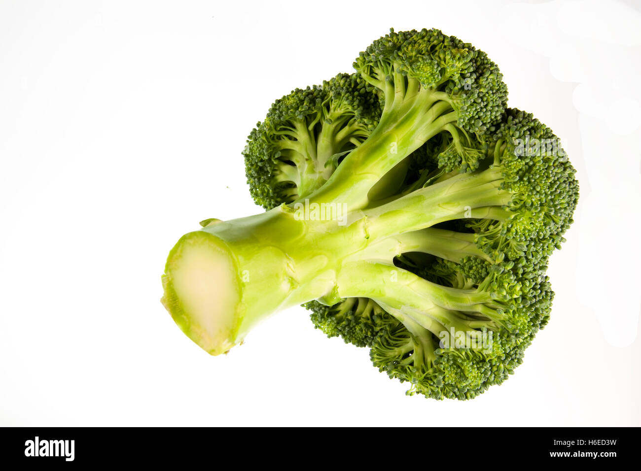 Freshly cut head of broccoli isolated on a white background Stock Photo ...