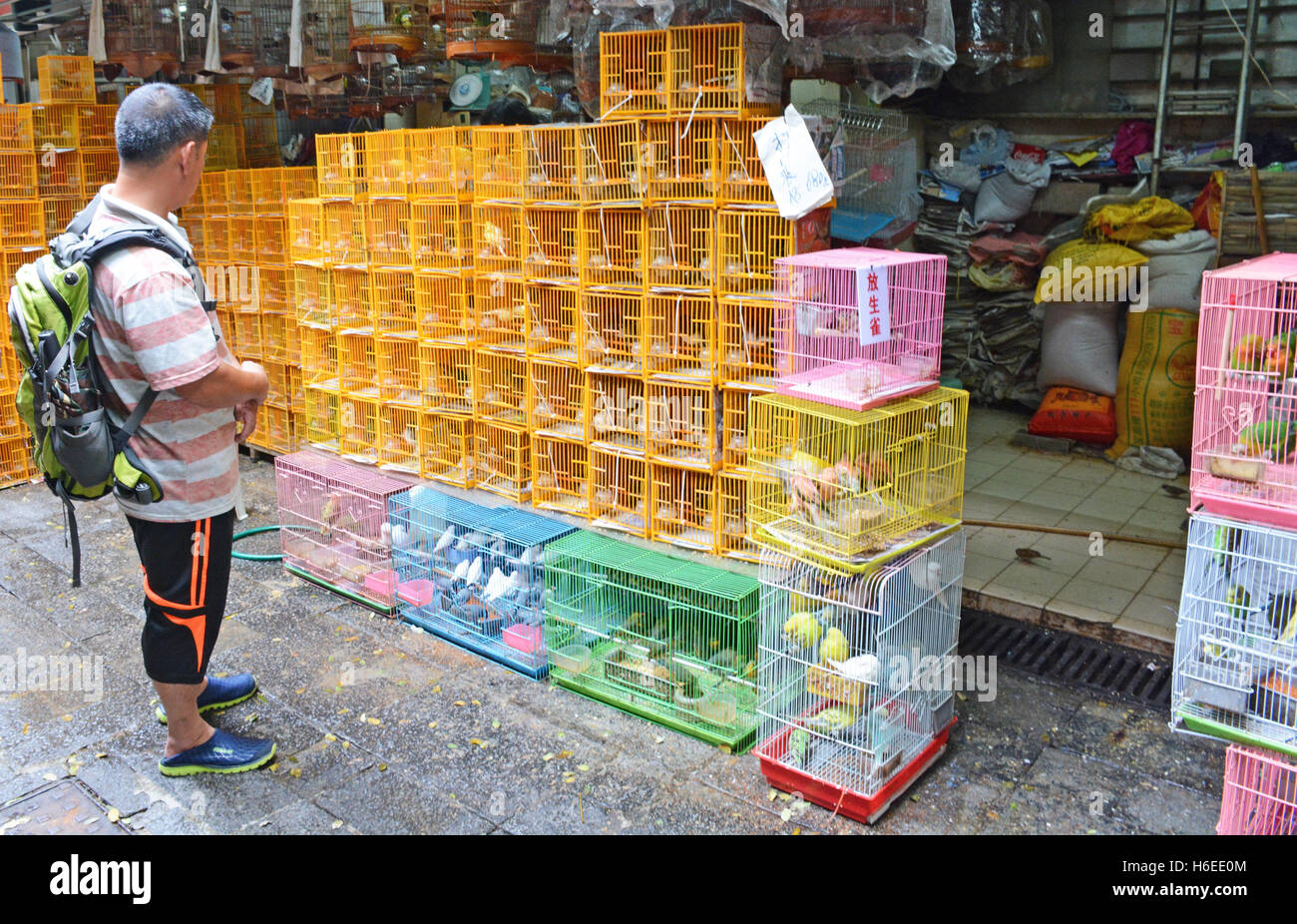 birds market, Kowloon, Hong Kong, China Stock Photo - Alamy