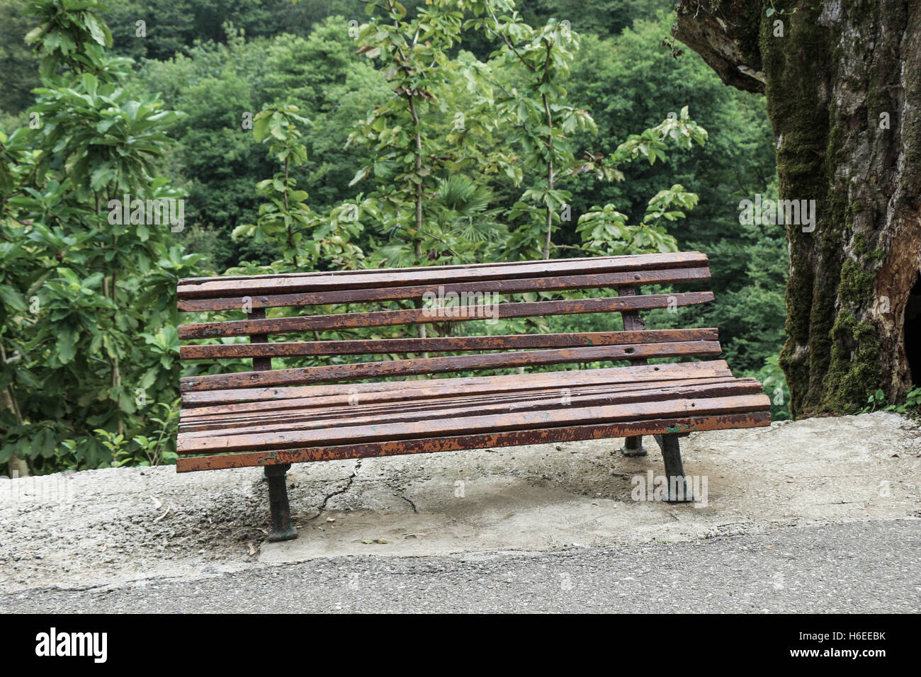 Wooden park bench at a park Stock Photo - Alamy