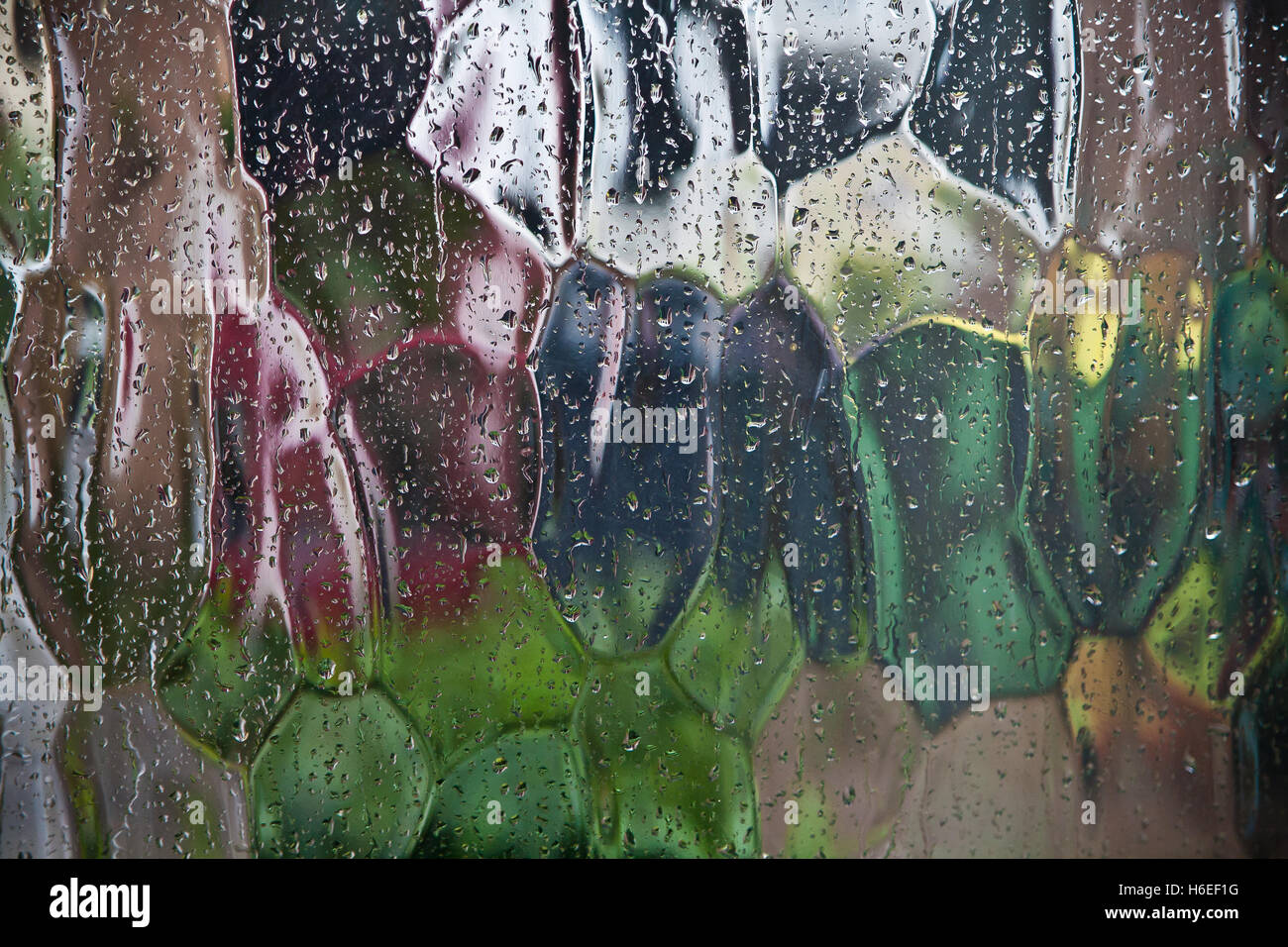 Distorted view to garden through rain spattered patterned glass Stock ...