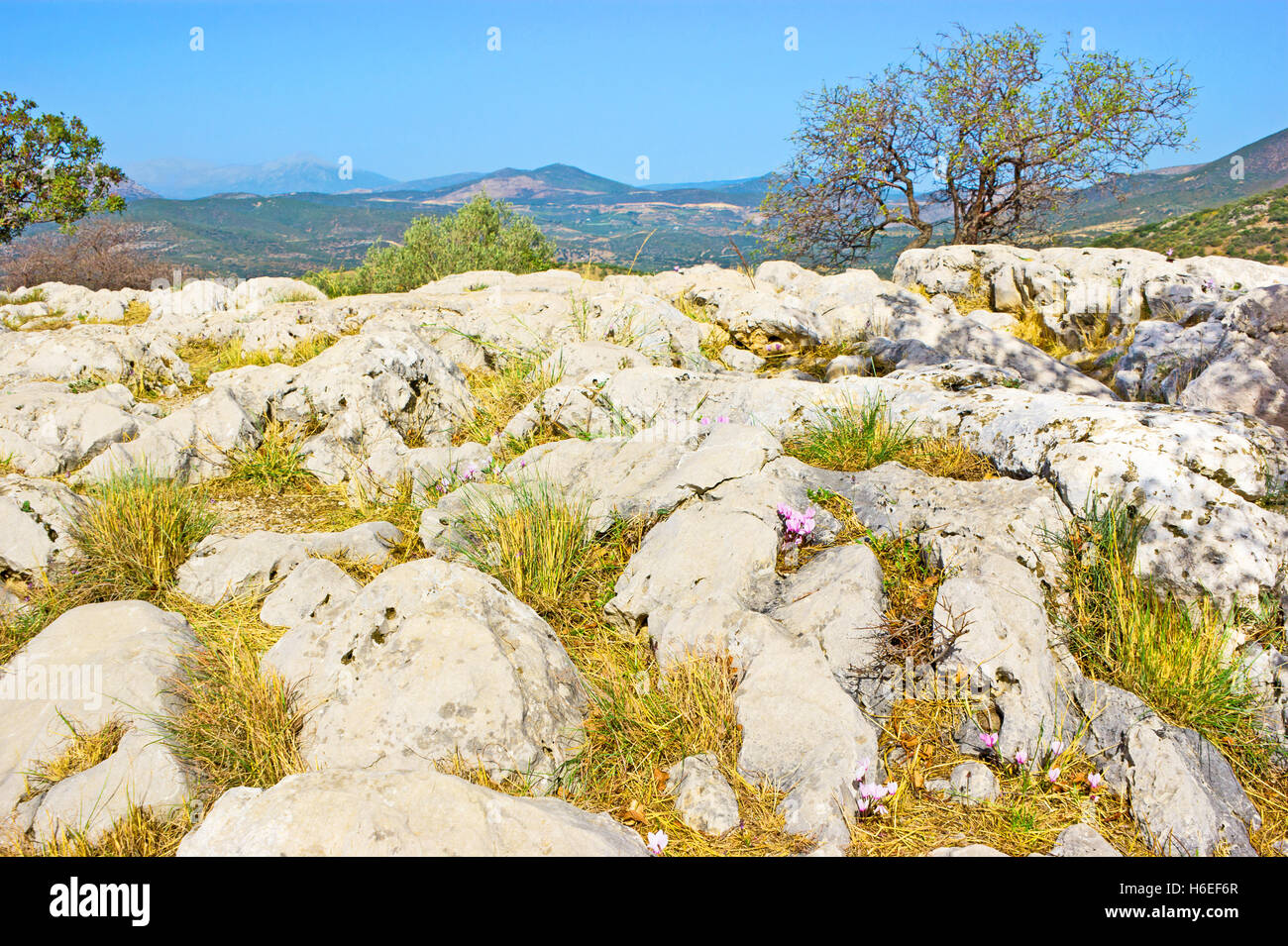 The large white stones in the archaeological site of Mycenae, Greece ...