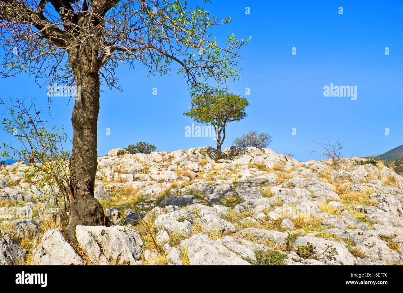The ruins of the ancient citadel on the mountain top, Mycenae, Greece ...
