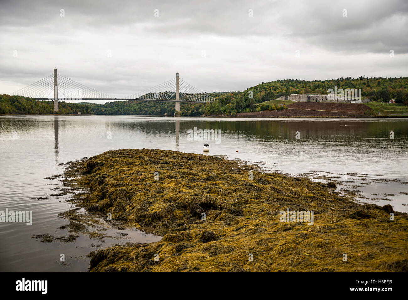Fort knox usa hi-res stock photography and images - Alamy