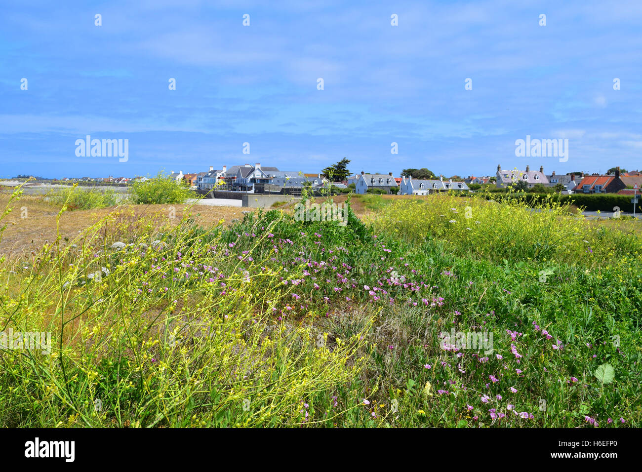 Port Soif, Guernsey C.I Stock Photo - Alamy