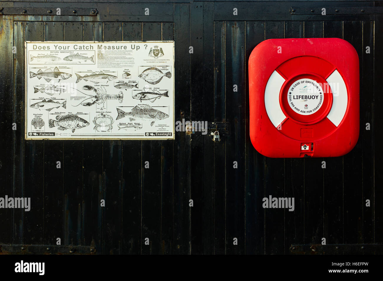 Isle of Man guide to correct size of fish for fishermen and lifebelt ...