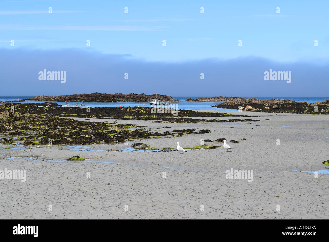 Mist rolling in from the sea Stock Photo - Alamy