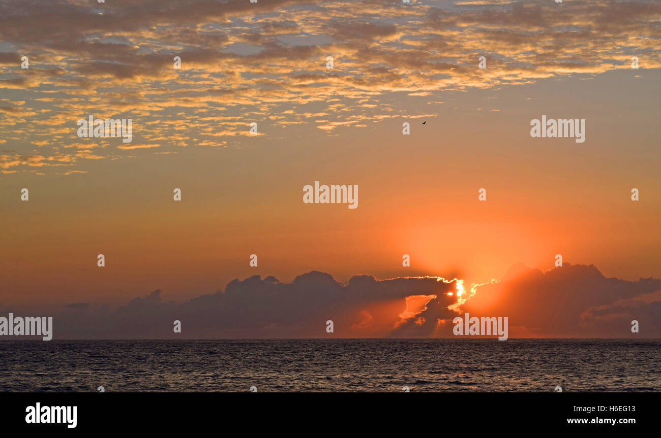 Guernsey ci hi-res stock photography and images - Alamy