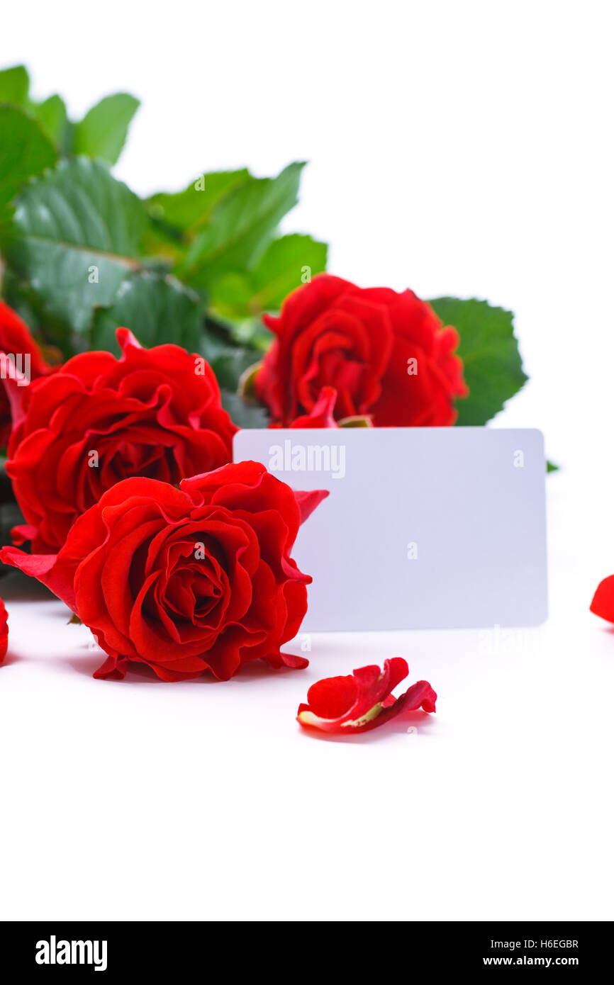 beautiful red rose Stock Photo - Alamy