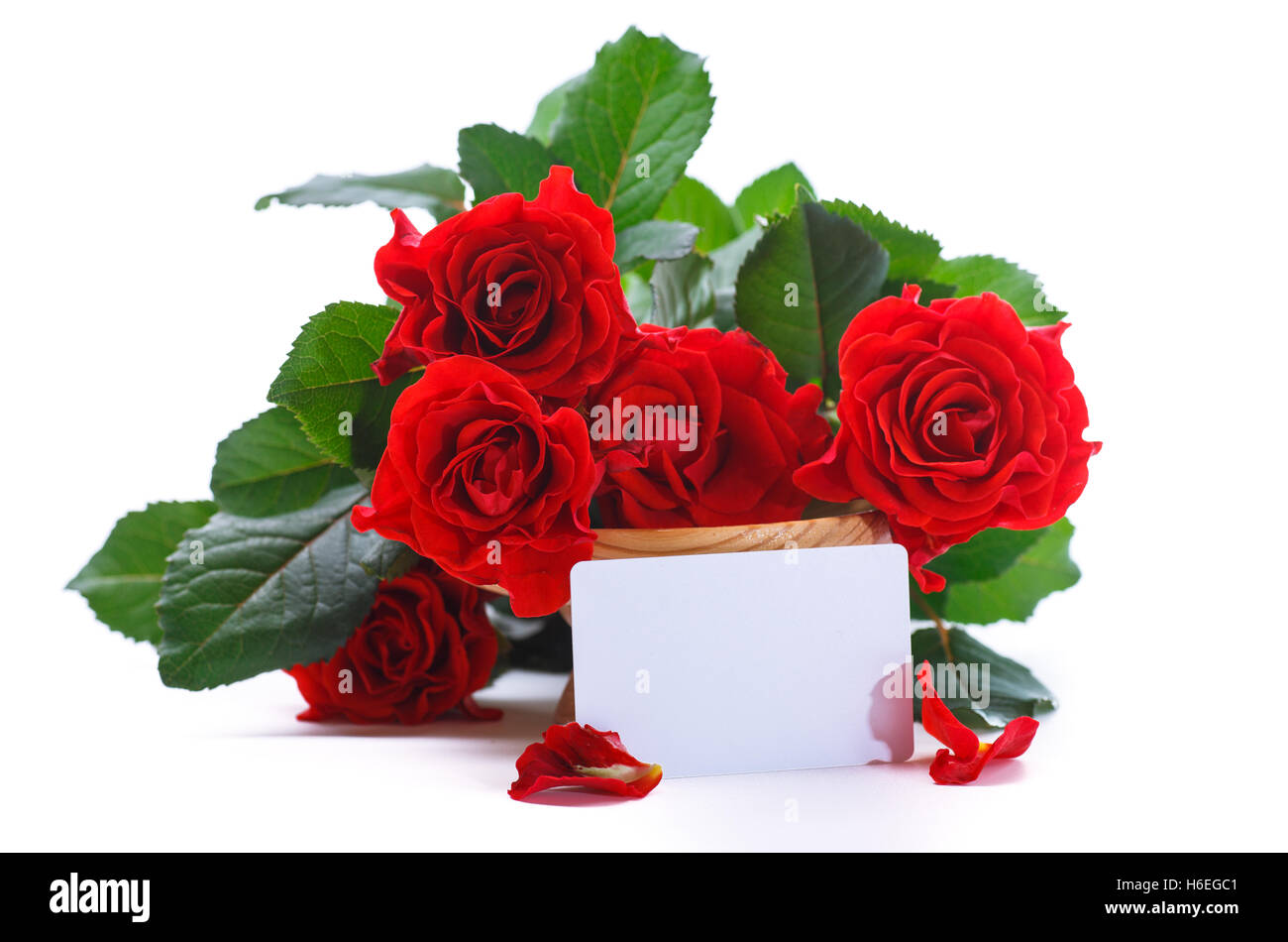 beautiful red rose Stock Photo - Alamy