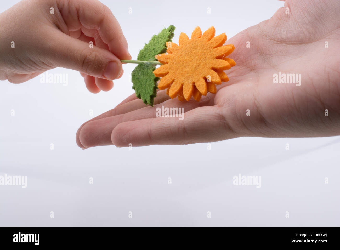 Baby giving a fake flower on a white background Stock Photo - Alamy