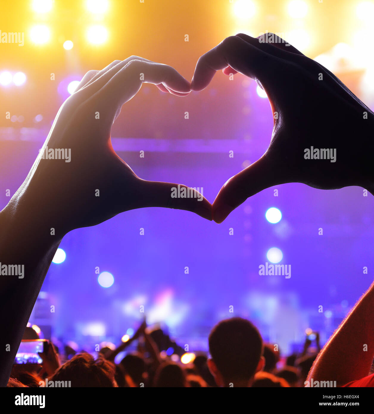 Concert Audience Silhouette