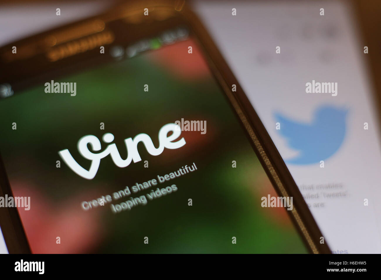 General view of Vine, the six-second video app owned by Twitter on a ...
